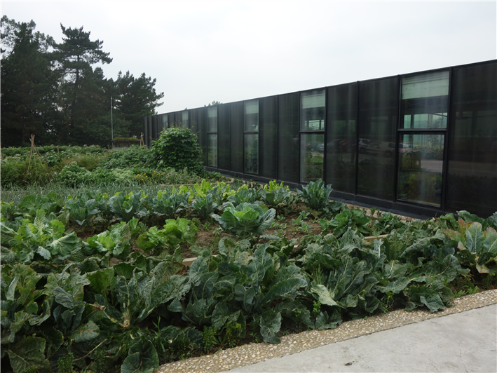 Review of Spanish restaurant Azurmendi near Bilbao by Andy Hayler in ...