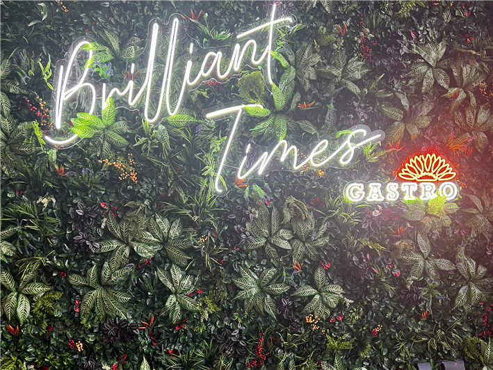 review of Indian restaurant Brilliant Gastro by Dipna Anand in Southall ...