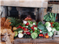 review of French restaurant Ferme au Grives in the Landes by Andy ...