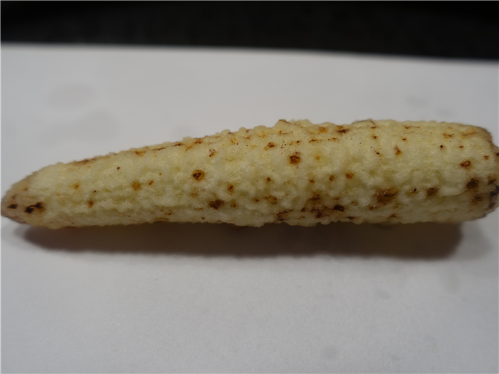 Review of Tokyo Japanese tempura restaurant Nanachome Kyoboshi by Andy ...