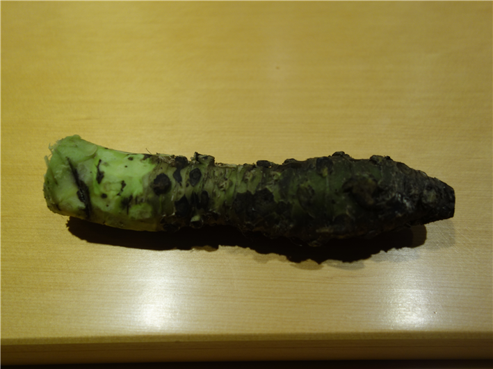 Review of London Japanese restaurant Sushi Tetsu by Andy Hayler in May 2014